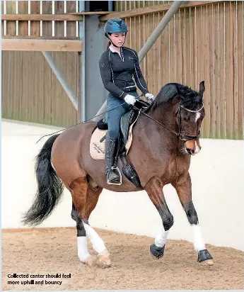 EXERCISE 3 COLLECTING THE CANTER - PressReader