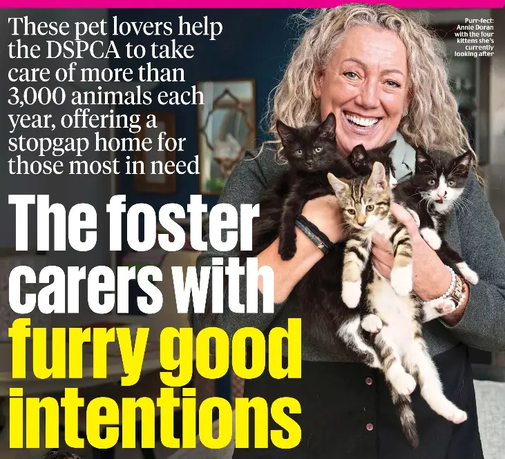 The foster carers with furry good intentions - PressReader