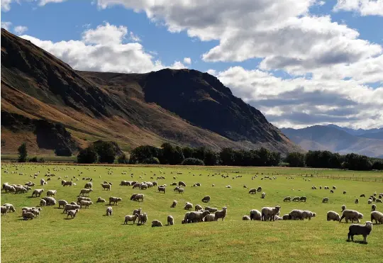 Greener Pastures: The sustainabl­e future of agricultur­e - PressReader