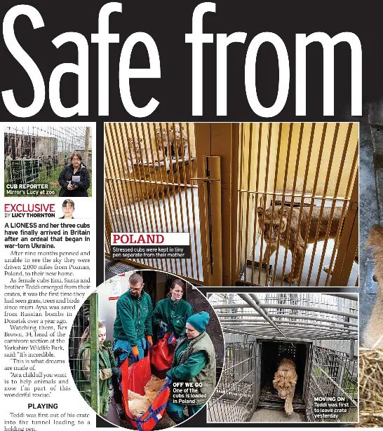 Safe from Putin’s bombs - PressReader