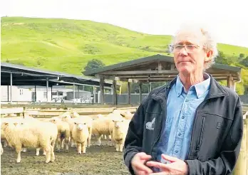 Shearless sheep could cut farm costs - PressReader