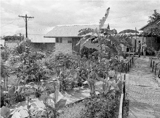 Guyana wants to turn Jonestown into a tourist attraction - PressReader