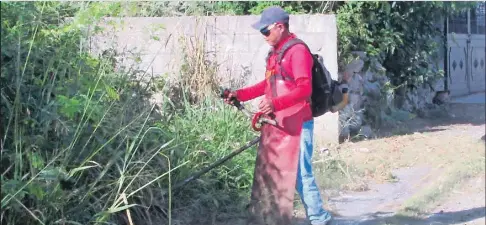 Piden limpiar terrenos - PressReader