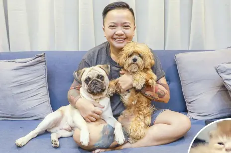ICE SEGUERRA: LIVING LA VIDA 'PAWFECT' - PressReader