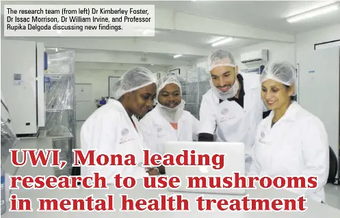 UWI, Mona leading research to use mushrooms in mental health treatment ...