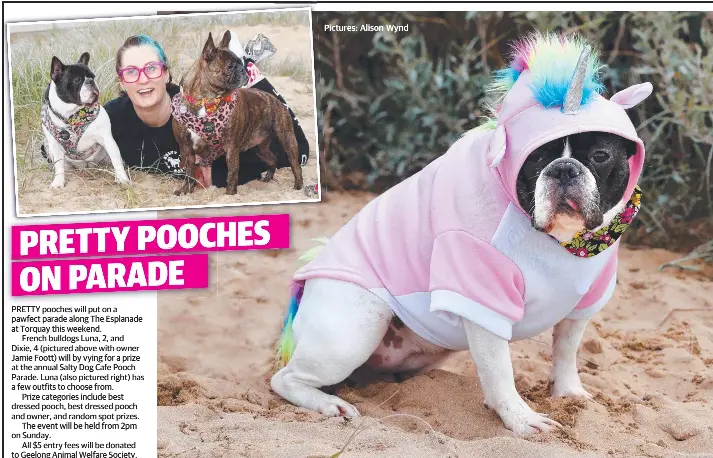 PRETTY POOCHES ON PARADE - PressReader
