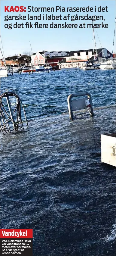 PIA TOG DANMARK MED STORM - PressReader