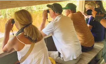 Birding Festival for Bitou in the pipeline to educate, entertain - PressReader