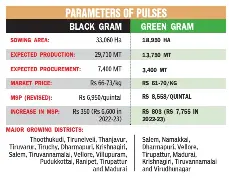 Pulses get price support, hike in MSP for black, green gram - PressReader