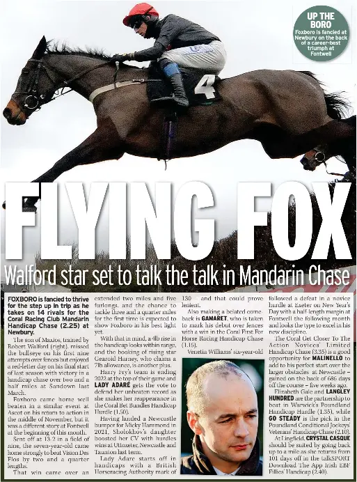 FLYING FOX - PressReader