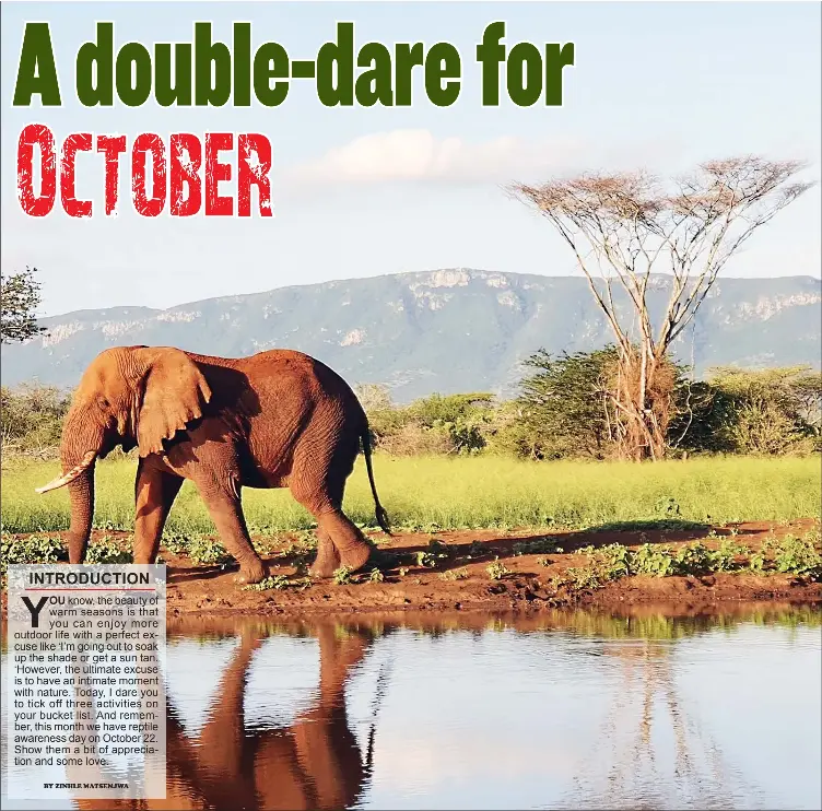 A double-dare for - PressReader