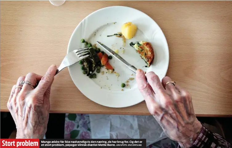 AELDRE SPISER FOR LIDT - PressReader