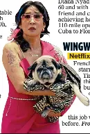 TVON DEMAND WINGWOMEN Netflix - PressReader