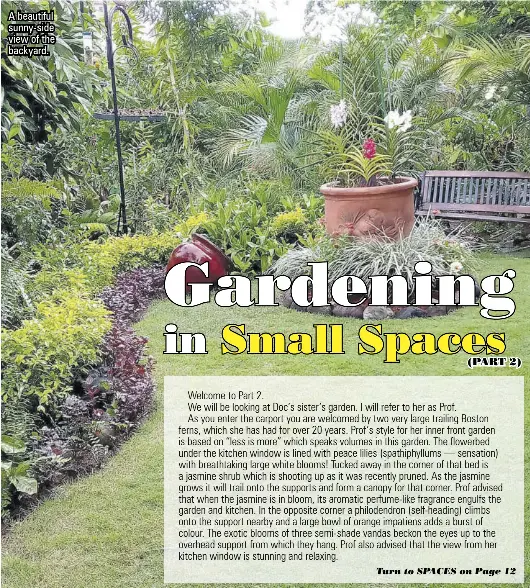 Gardening in Small Spaces - PressReader