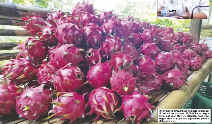 ‘ENTER THE DRAGON’ - PressReader