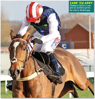 FAIR SHAKE - PressReader