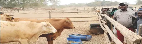 200 000 benefit from Govt livestock survival plan - PressReader