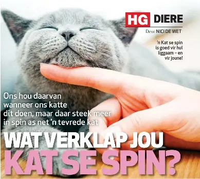 Wat verklap jou kat se spin? - PressReader