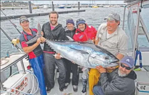 Whiting bonanza - PressReader