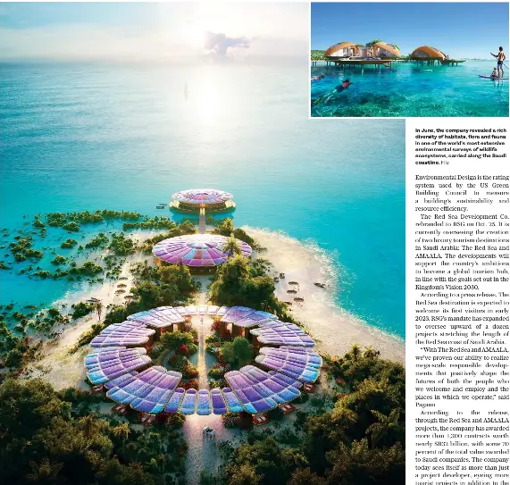 Red Sea rebrands itself as it takes on more vibrant hues - PressReader