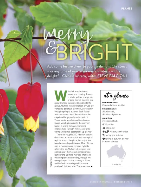 merry & BRIGHT - PressReader