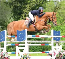 Marsh strikes with Stevie G - PressReader