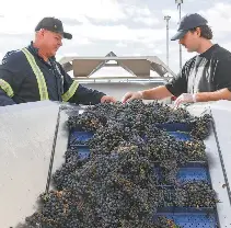 Generation next - PressReader