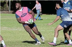 Grey to host Sharks and Stormers in practice match - PressReader