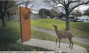 City’s doe sculpture goes walkabout - PressReader