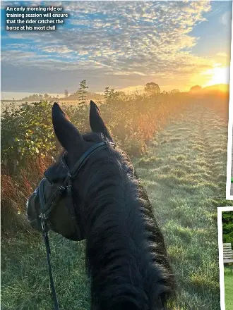 EXERCISE 2 HOLD YOUR RHYTHM - PressReader