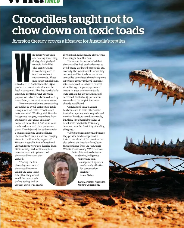 Crocodiles taught not to chow down on toxic toads - PressReader
