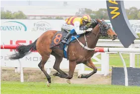 Rogerson all style - PressReader