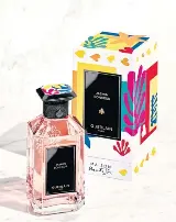 Jasmine stars in a new fragrance - PressReader