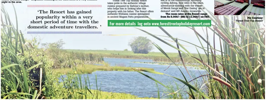 ‘FOREST TREE TOP RESORT’ Wild, wild Wellassa - PressReader