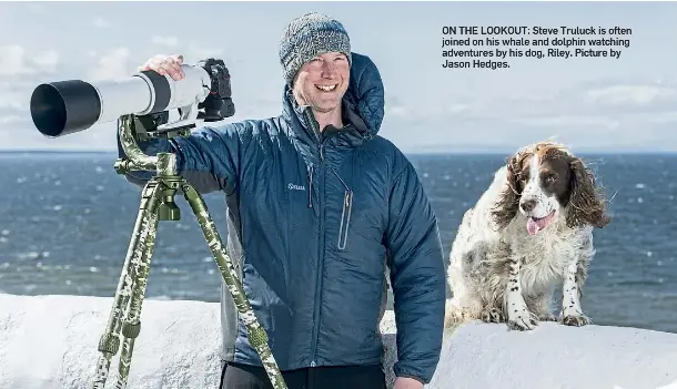 Snappy tips on where to see whales and dolphins - PressReader