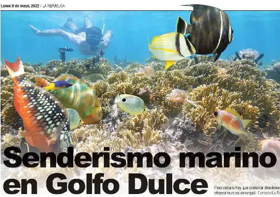 Senderismo marino en Golfo Dulce - PressReader