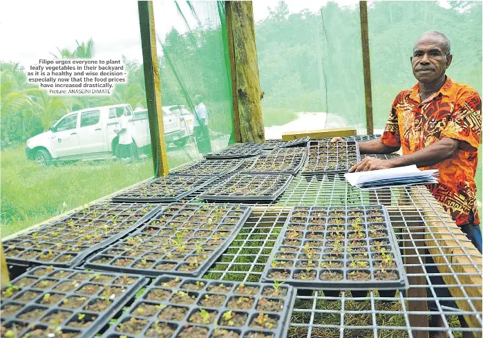 Harvest at your doorstep - PressReader