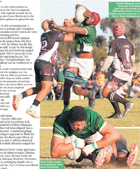 Evergreens bult spiere teen Groot-Brak - PressReader