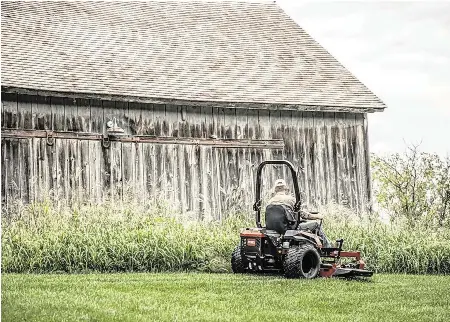 10 tips on how to turn an overgrown field into a beautiful yard ...