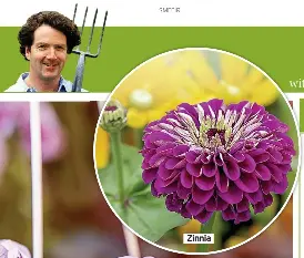 Get ready now to spring into action - PressReader