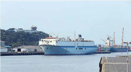 Sheep ship on the horizon again - PressReader