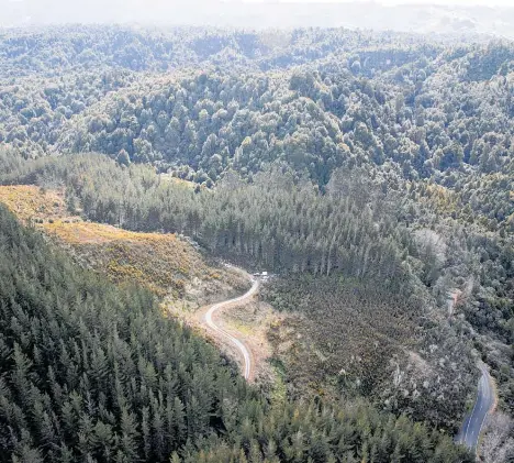 Phillips was hunted in Marokopa bush by elite NZSAS trackers - PressReader