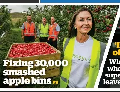 Fixing 30,000 smashed apple bins - PressReader