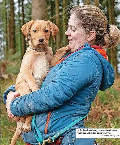 Dog trainer a finalist in top awards - PressReader