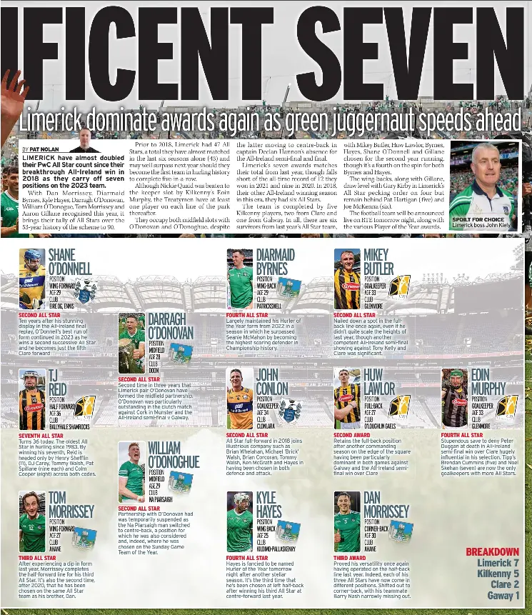 Limerick dominate awards again as green juggernaut speeds ahead - PressReader