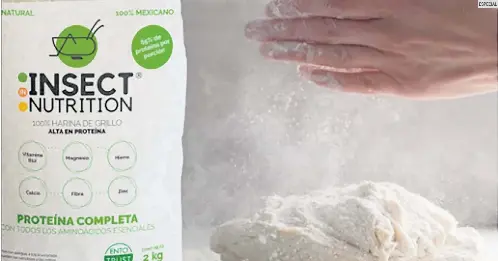 Insect Nutrition, la innovación en el cultivo de grillos - PressReader