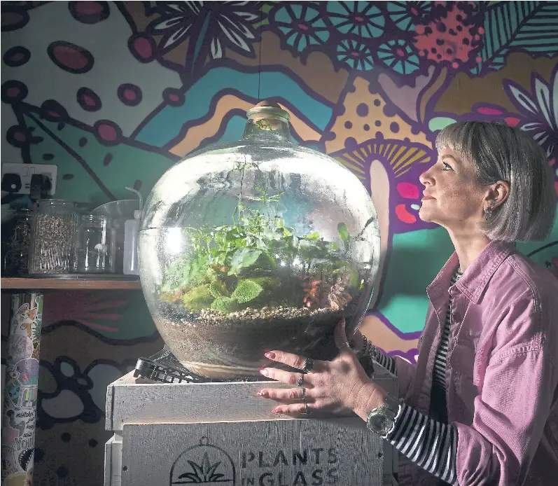 Glass works for a garden - PressReader