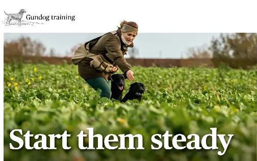 Start them steady - PressReader