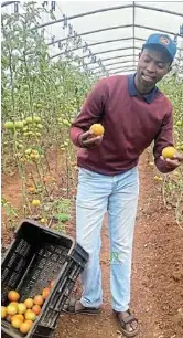 SEAJA GROOMED TO FARM VEGGIES - PressReader