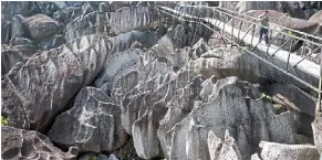 Public, tourists advised against trespassin­g onto privately-ownend ...
